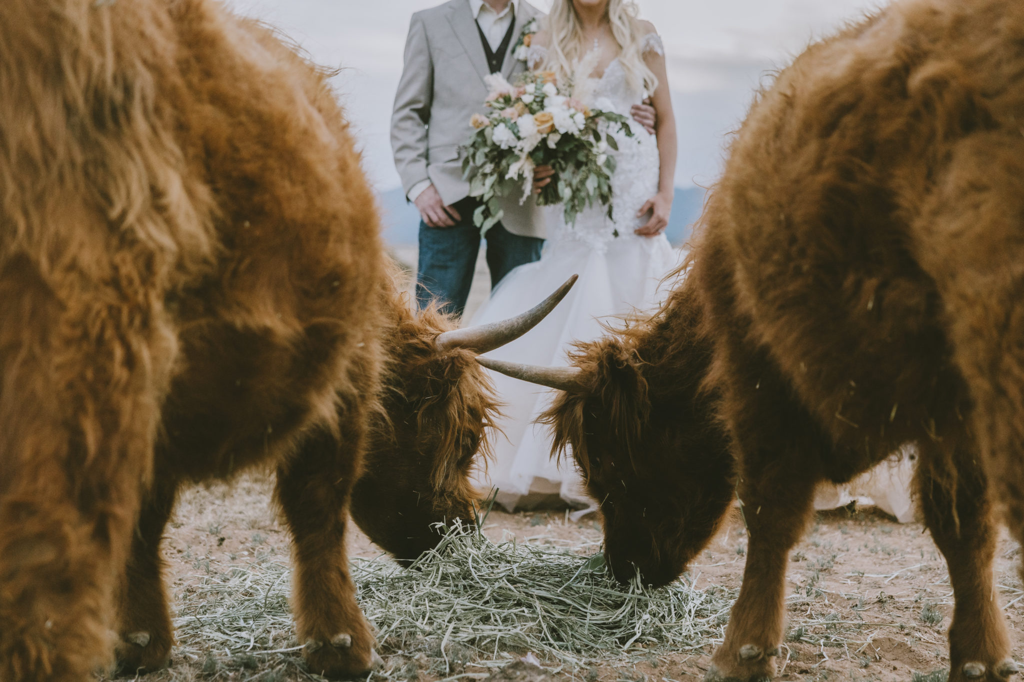 Photography Archives - Lyndsey Garber